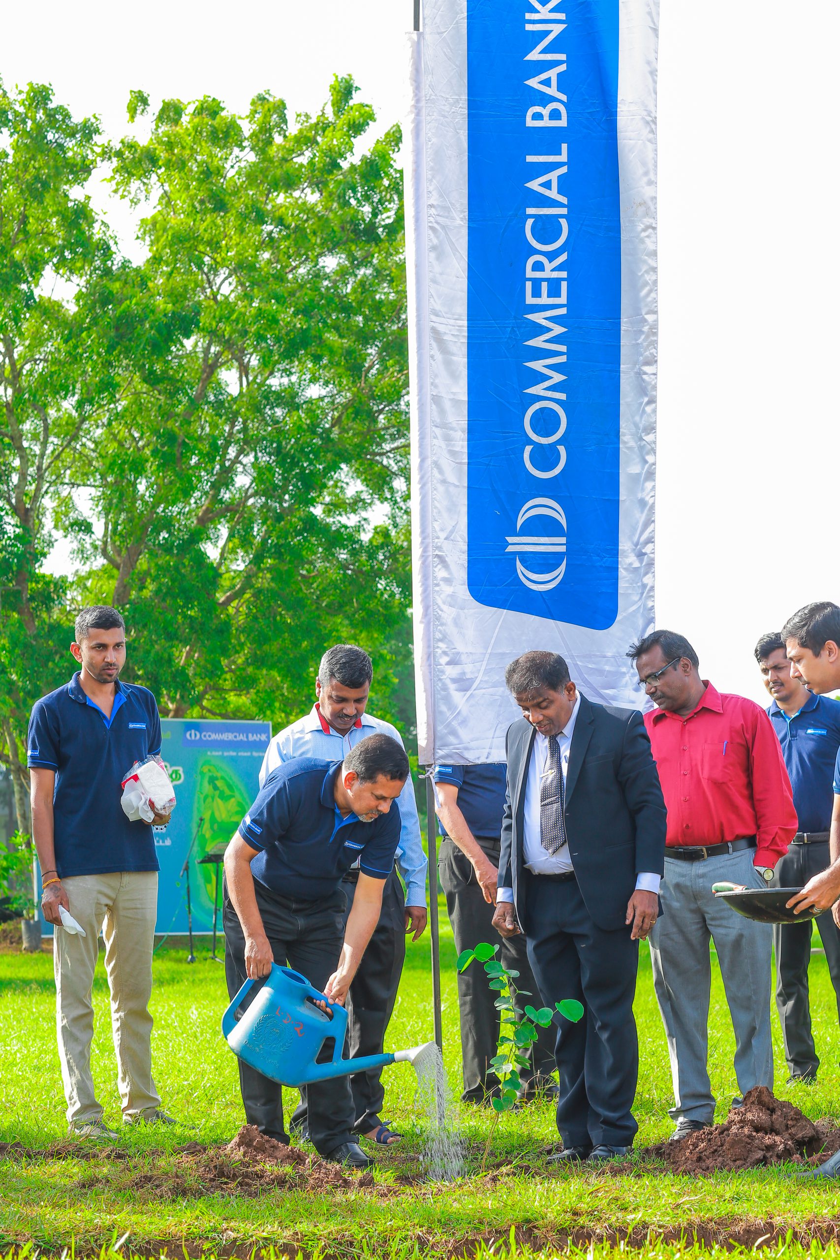 Tree Plantation – By Commercial Bank (Trees for Tomorrow) – University ...